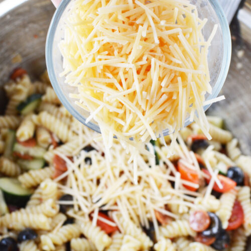 Easy Rotini Pasta Salad Recipe Bubbapie